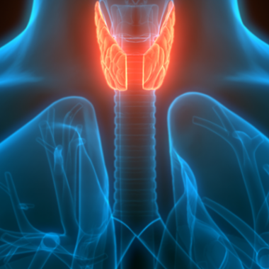 Hemithyroidectomy: A Safe Treatment Option for Thyroid Disorders